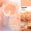 Let's mix PEACH FUZZ, the colour of the year for 2024 - PresentPerfect ...