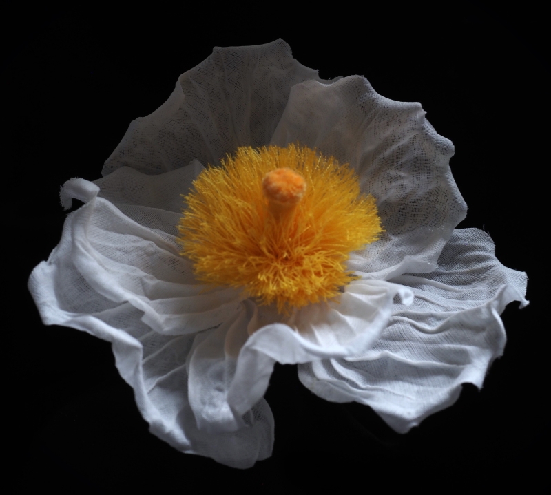 MAY'24 - Online Event Comprehensive Poppy Guide - PresentPerfect ...
